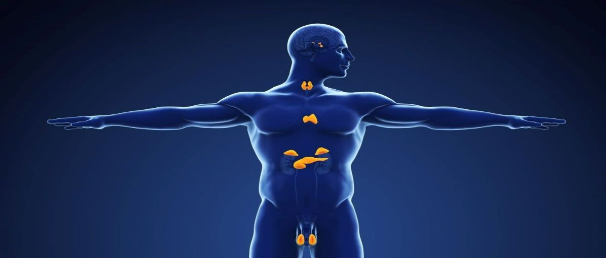 Supporting People With New Onset Type 1 Diabetes - iLearn